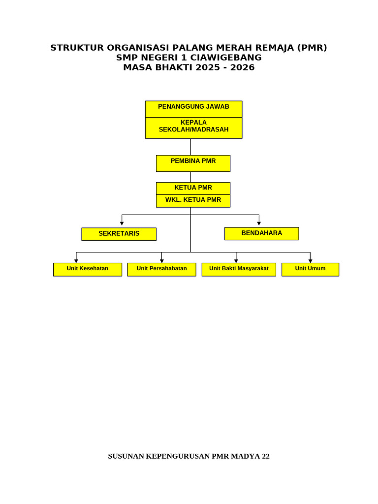 Struktur Organisasi Palang Merah Remaja | PDF