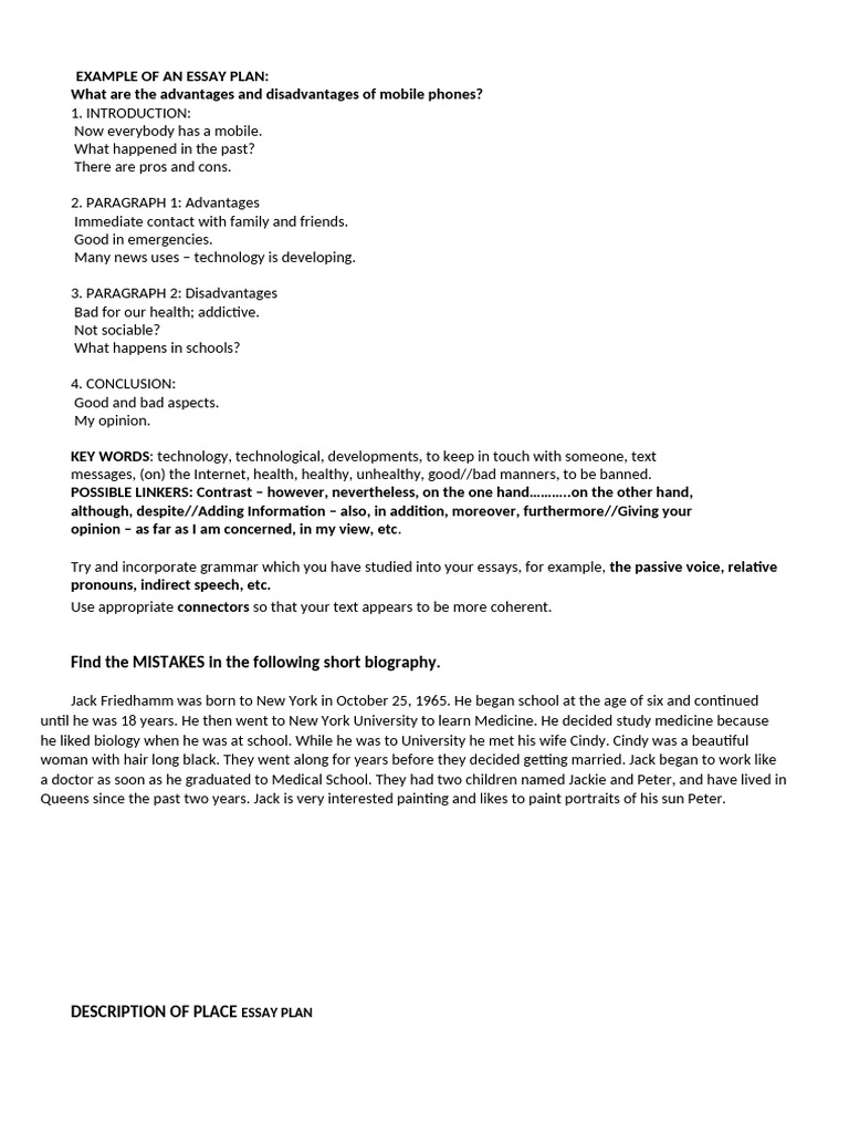 EXAMPLE OF AN ESSAY PLAN | PDF | New York City