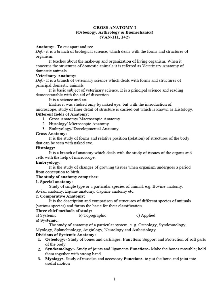 Introduction To Veterinary Anatomy (General Anatomy) | PDF | Bone ...