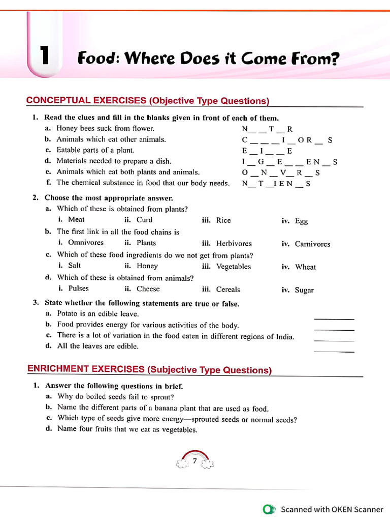 Class 6 Science Test | PDF