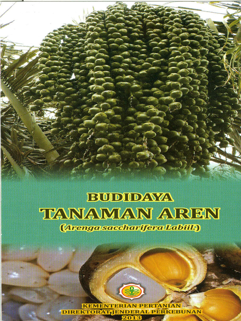 Budidaya Aren | PDF