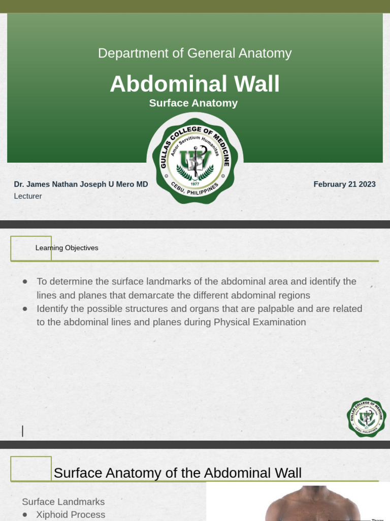 Abdominal Wall Surface Anatomy | PDF | Abdomen