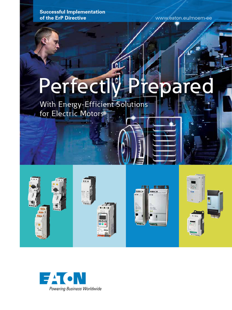 Successful Implementation ErP Directive en | PDF | Power Supply | Engines