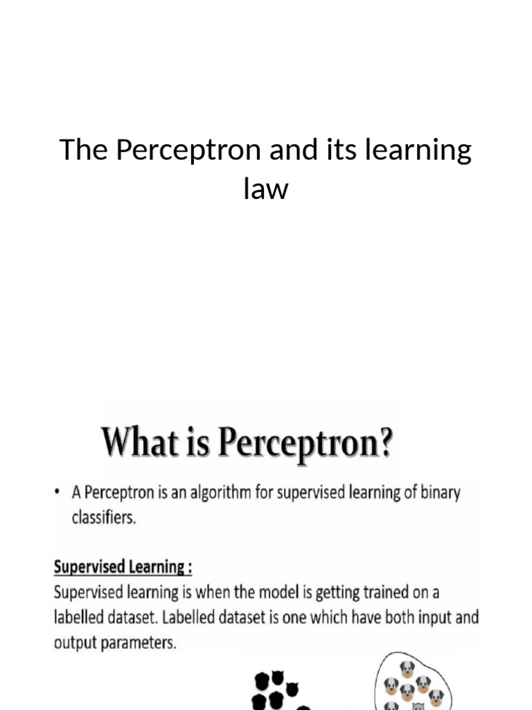 The Perceptron and Its Learning Law | PDF