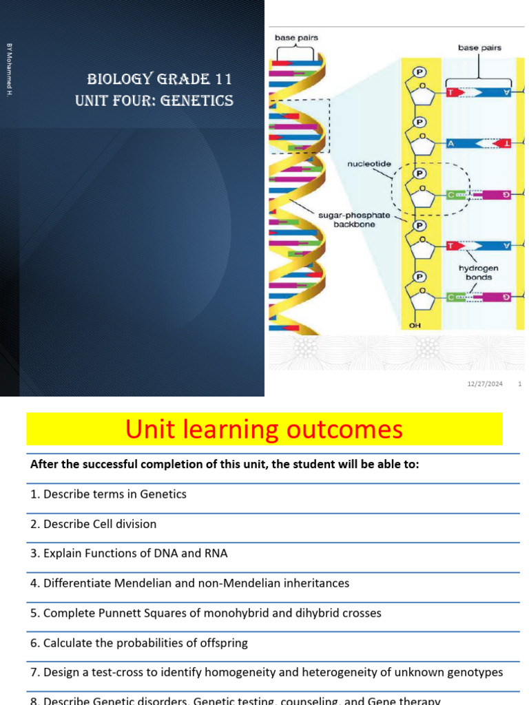 Genetics Concepts for Grade 11 Biology | PDF | Meiosis | Translation ...