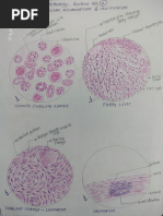 Pathological Reflexes | PDF | Anatomical Terms Of Motion | Toe