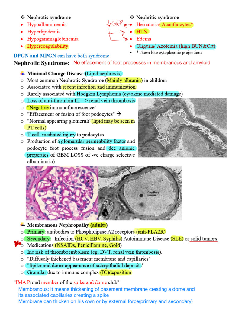 Nephrotic and Nephritic Syndrome | PDF | Nephrology | Immunology