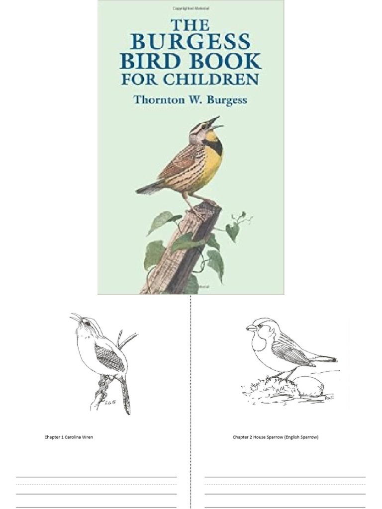 Narration Book Burgess Bird | PDF