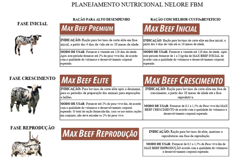 Planejamento Nutricional FBM | PDF