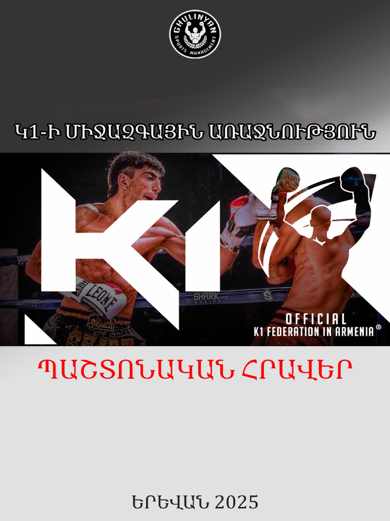 ACE Scanner_2025_06_01 | PDF