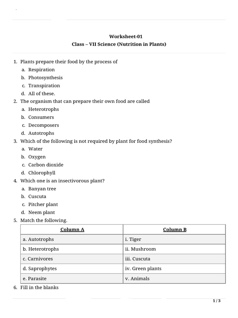 Class 7 Science: Nutrition in Plants Worksheet | PDF | Plants | Nutrition