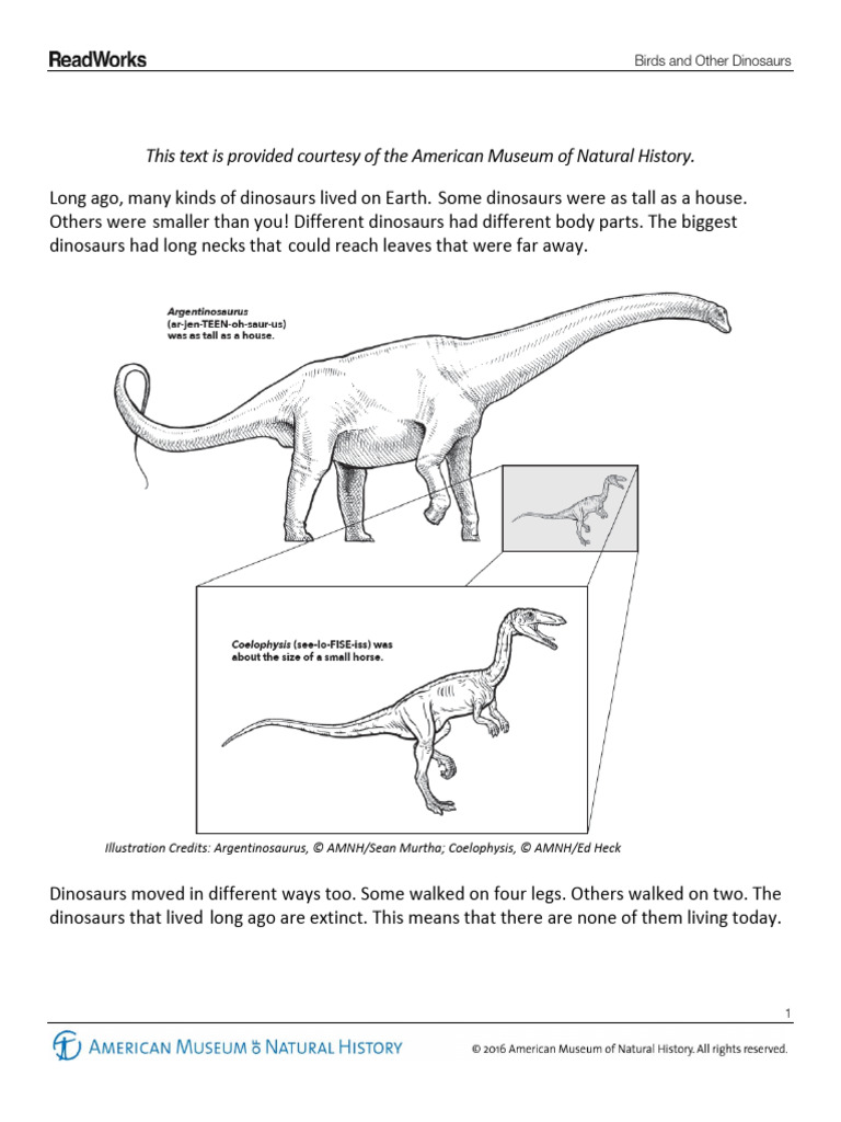 Stepread For Grade 2 | PDF | Dinosaurs | Feather