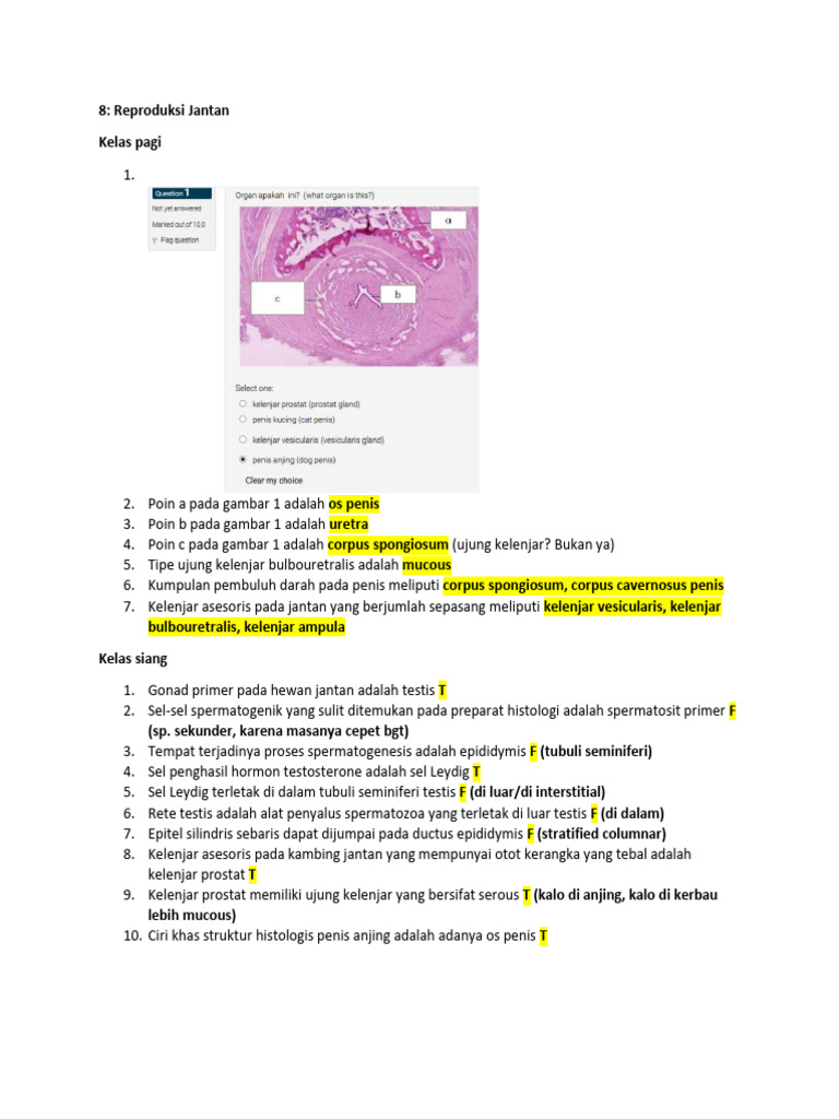 Kuis Histo Uas Dikoreksi | PDF