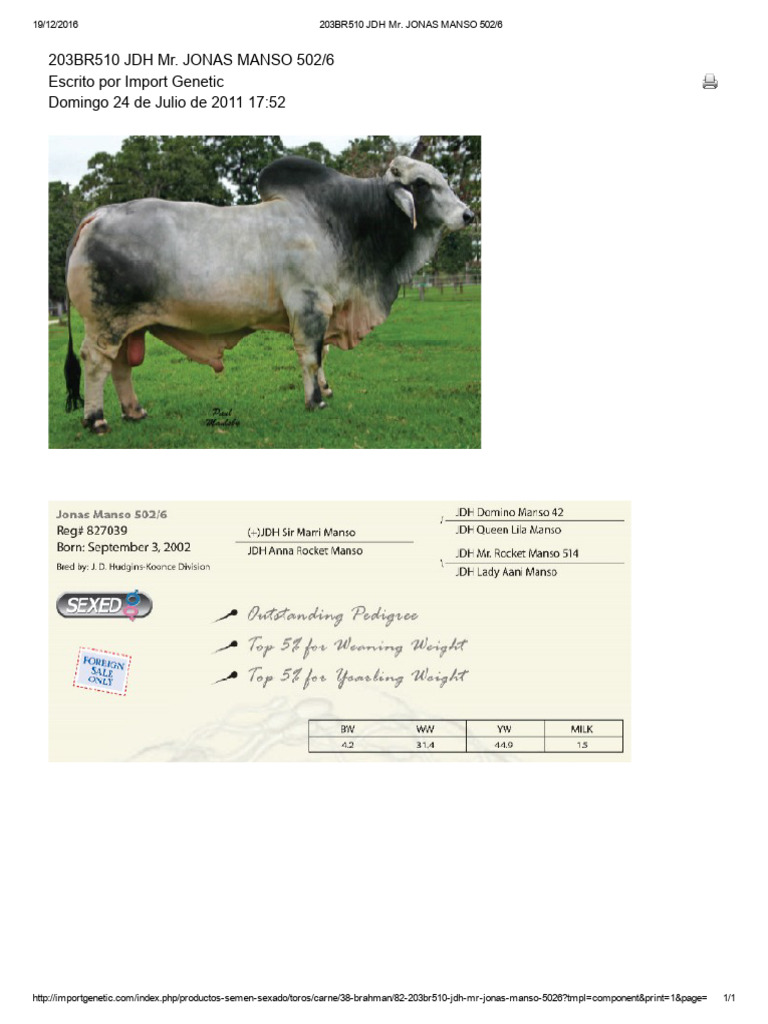 Jdh Mr Jonas Manso 203br510 | PDF