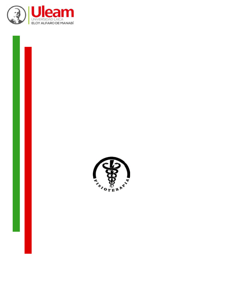 Organizador Gráfico | PDF
