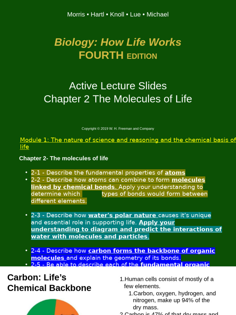 Ch2 Lecture3 Carbon Organic Molecules POST | PDF | Carbohydrates ...