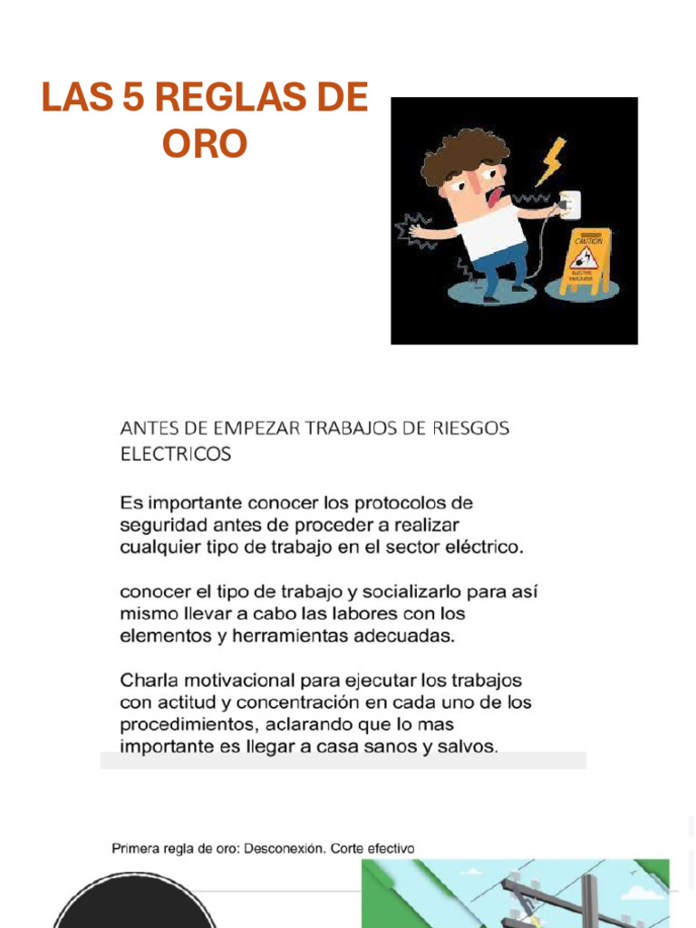 Las 5 Reglas de Oro | PDF