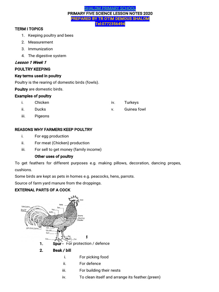 P5 Science Lesson Notes | PDF
