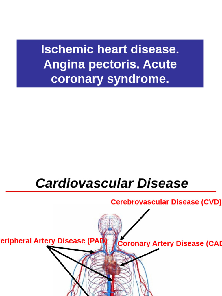 CAD Clinical Signs Symptoms Diagnosis Treatment | PDF | Myocardial ...