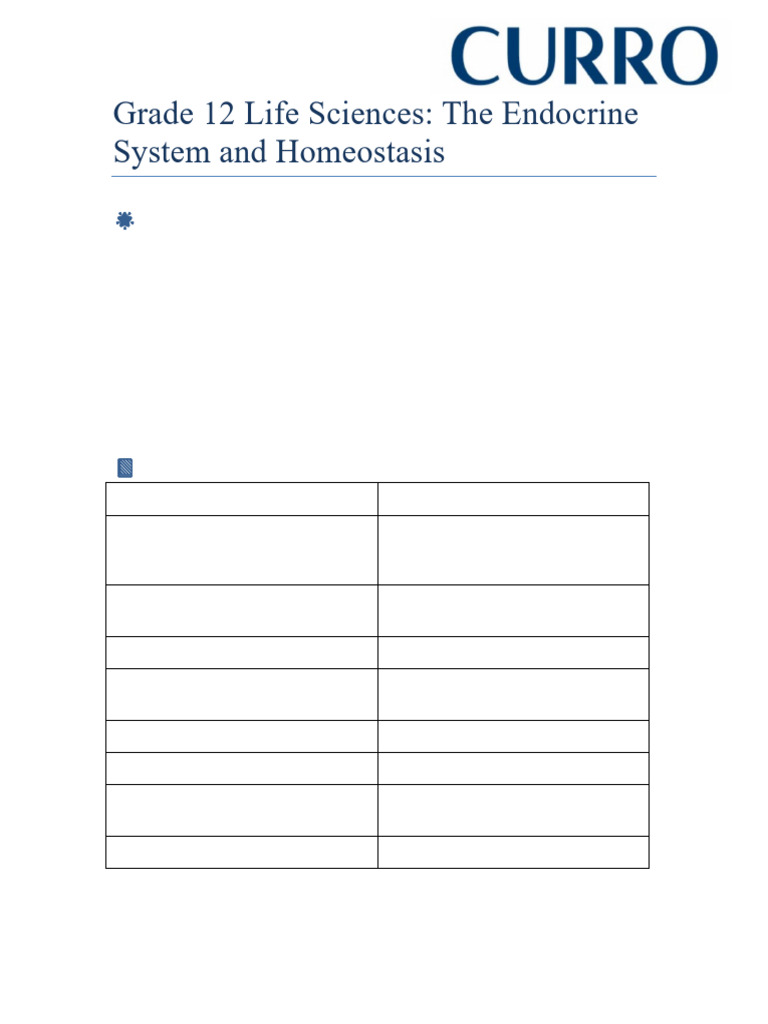 Grade 12 Endocrine System Notes | PDF | Endocrine System | Pancreas
