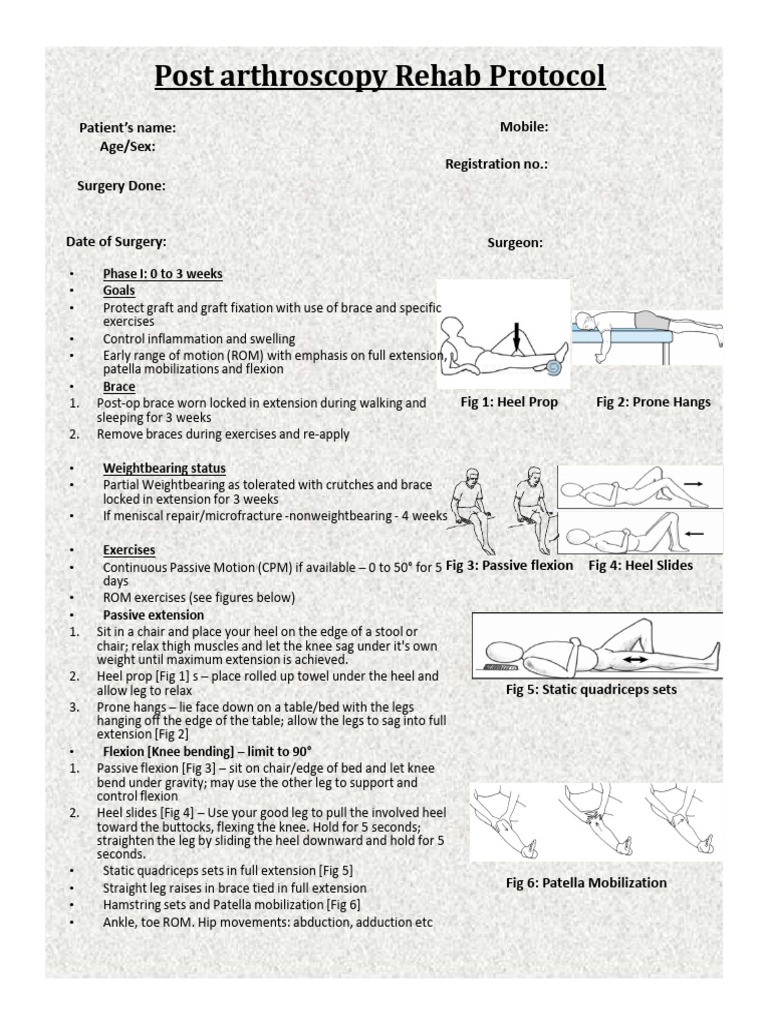 Acl Reconstruction Rehab Protocol Pdf Anatomical Terms Of Motion Knee