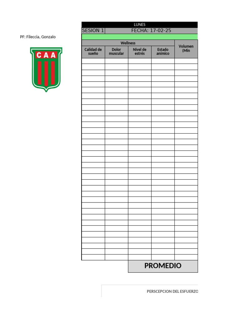 Planilla de Control de La Carga Interna RPE y WELLNESS | PDF | Sistema ...