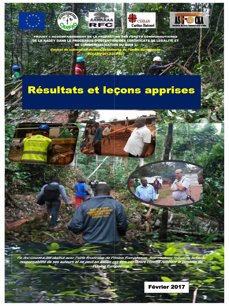 Resultats Et Lecons Apprises Projet Flegt Union Europeenne Batouri | PDF