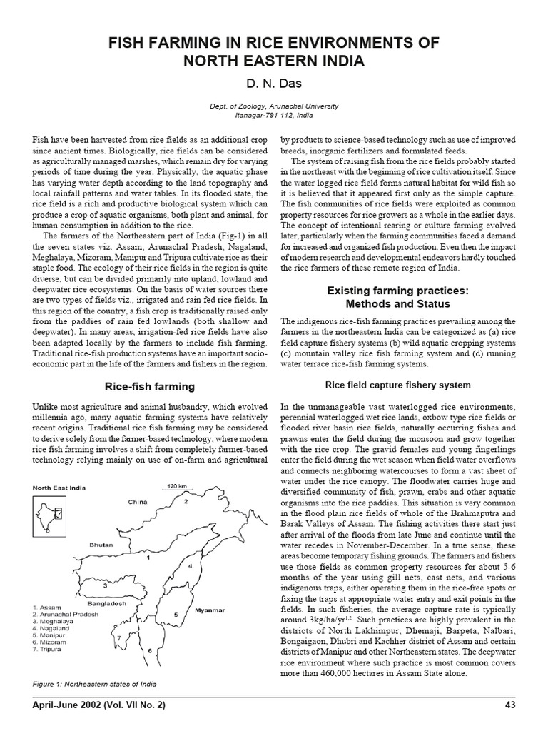 Fish Farming in Rice Environments | PDF | Paddy Field | Agriculture