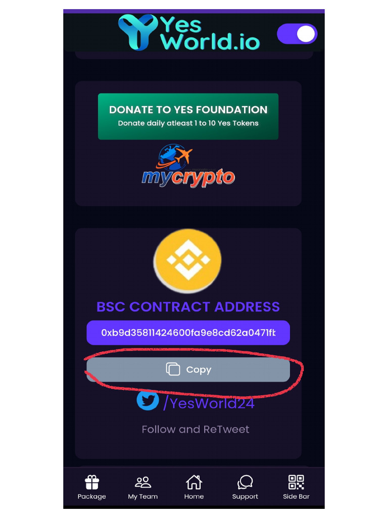 How To Add Yes Token in Trust Wallet | PDF