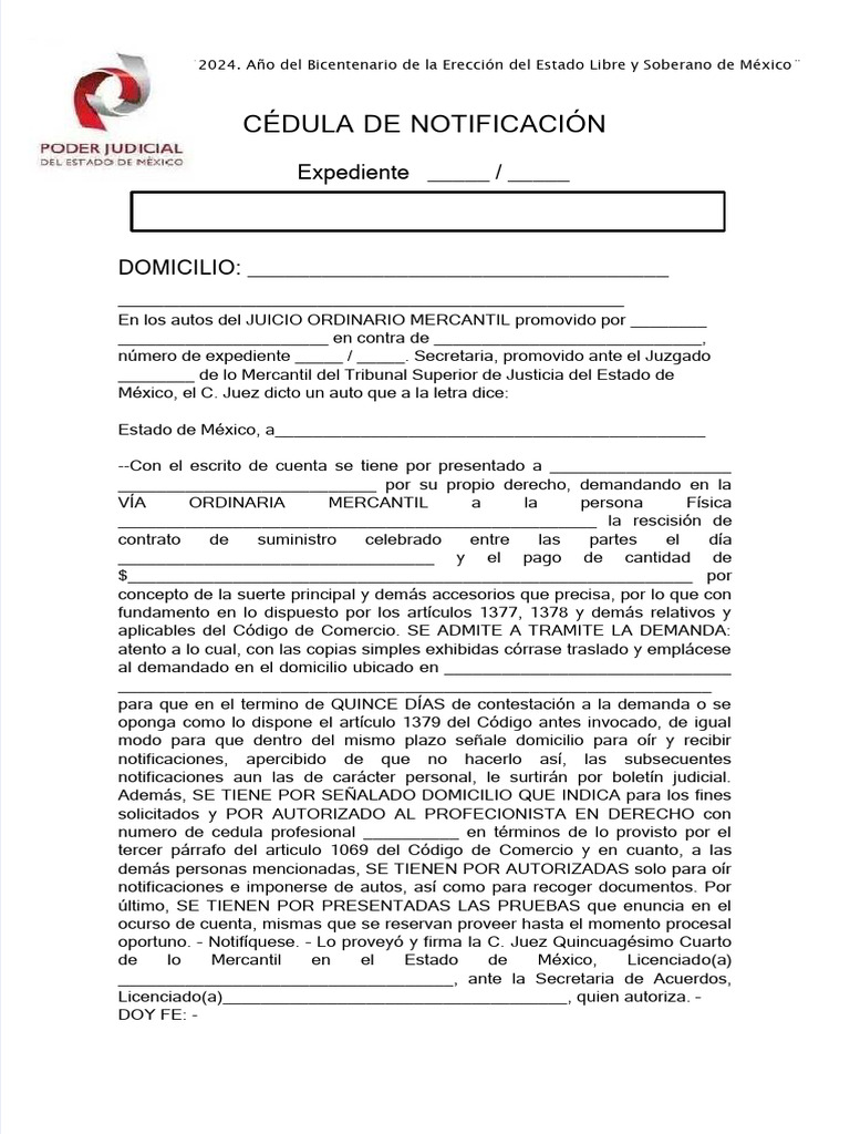 Cedula de Notificación | PDF | Demanda judicial | Separación de poderes