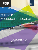 Dominando Fórmulas No MS Project para Gestão de Projetos Eficiente | PDF