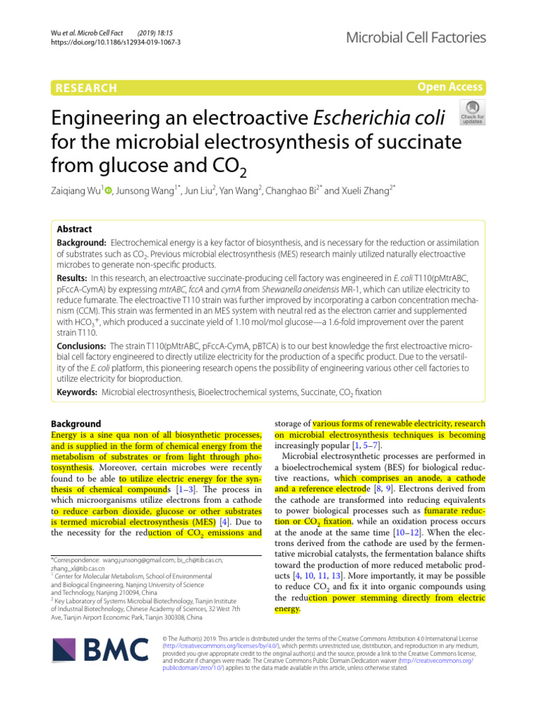 Engineering An Electroactive Escherichia Coli | PDF | Redox | Electrode