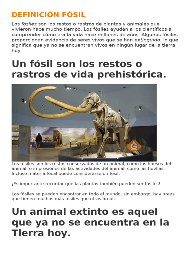Anexo Los Fosiles | PDF | Fósil | Extinción