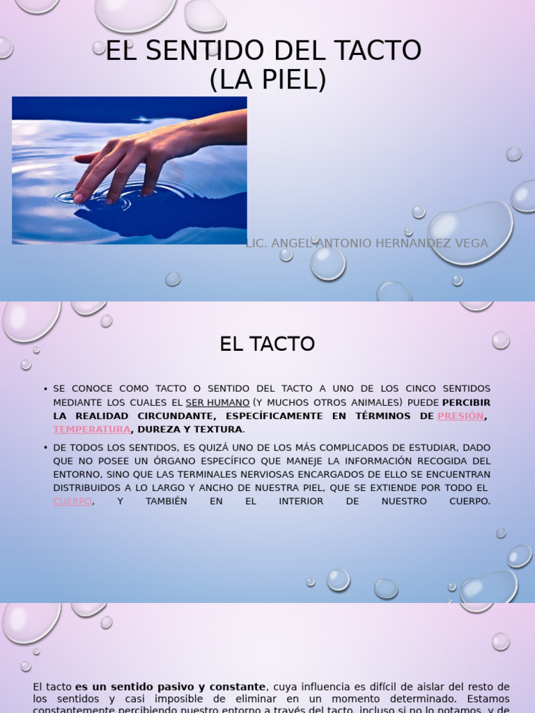 Sentido Del Tacto La Piel | PDF | Piel | Sentidos