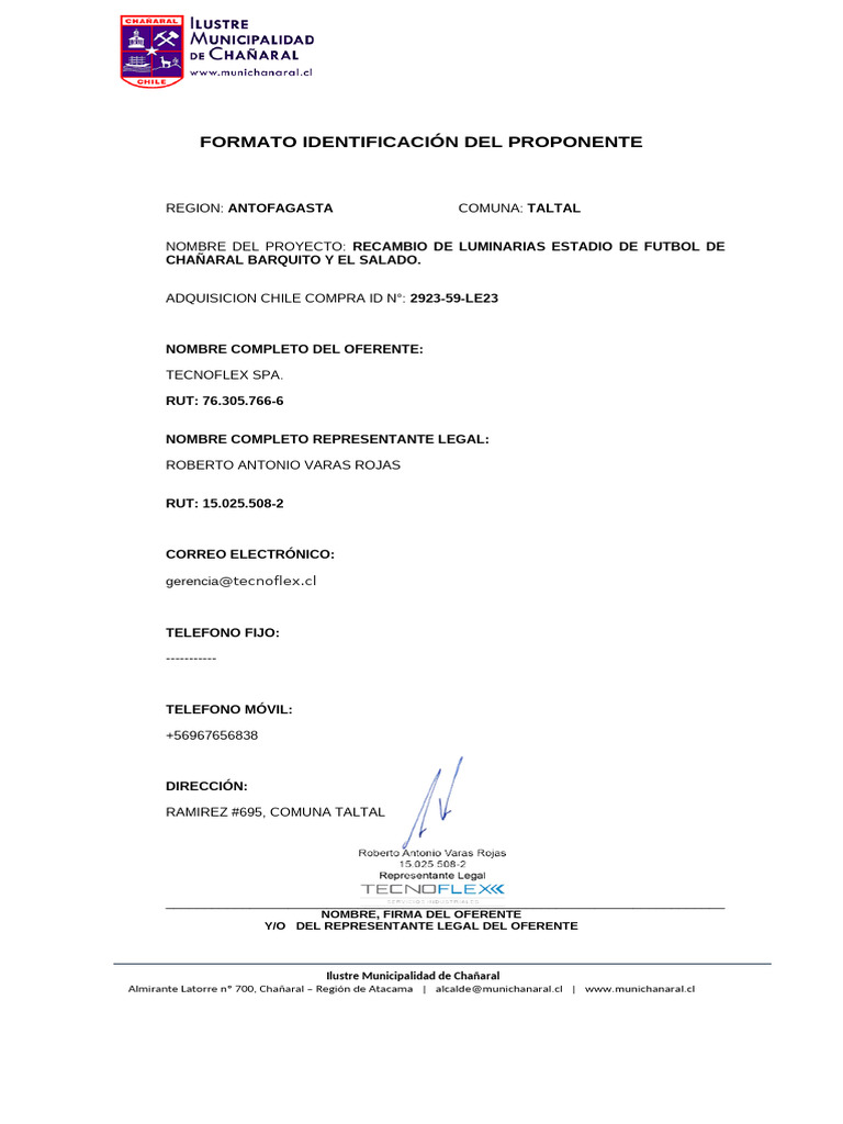 Formatos Tipos Oficiales | PDF