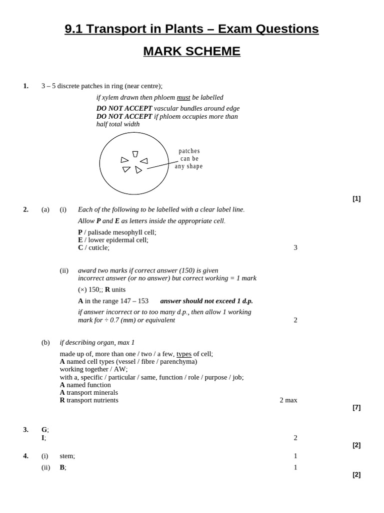 9.1 Exam Questions Mark Scheme | PDF | Botany | Biology