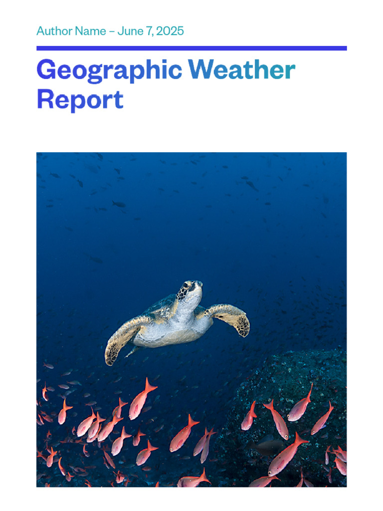 Geographic Weather Report | PDF