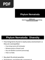 Overview of Priapulida (Penis Worms) | PDF