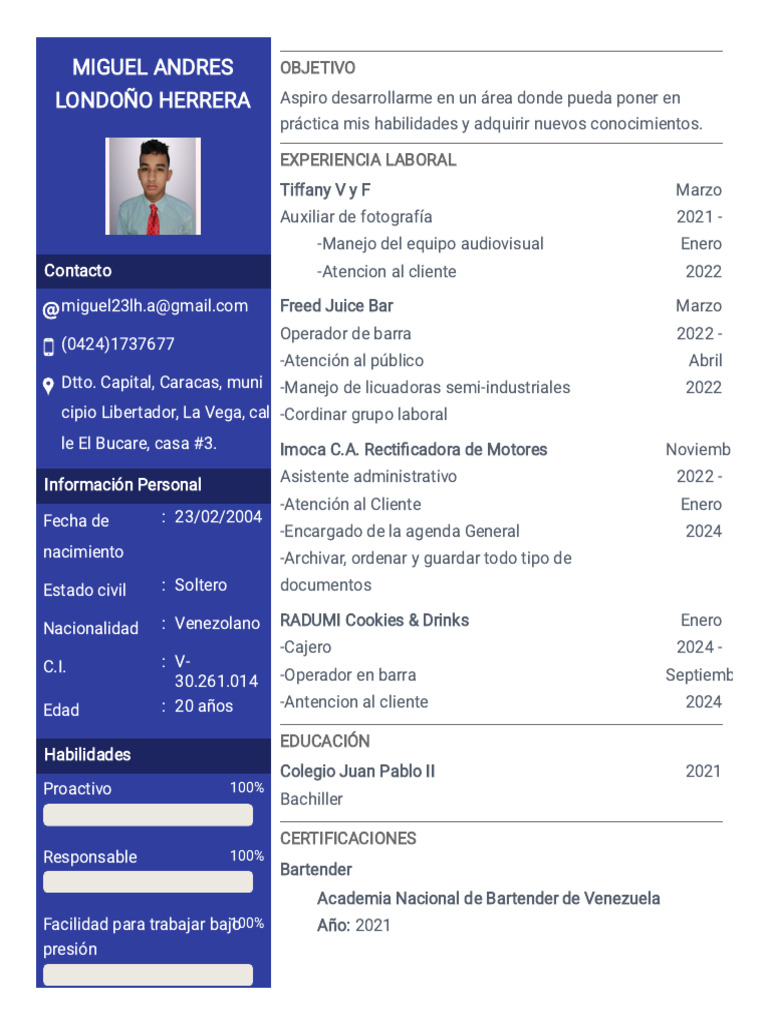 Currículum Vitae | PDF