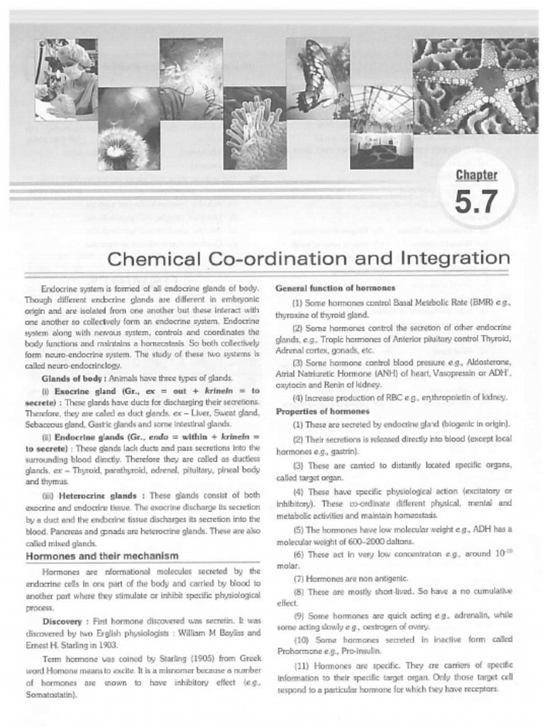 Chemical Control | PDF