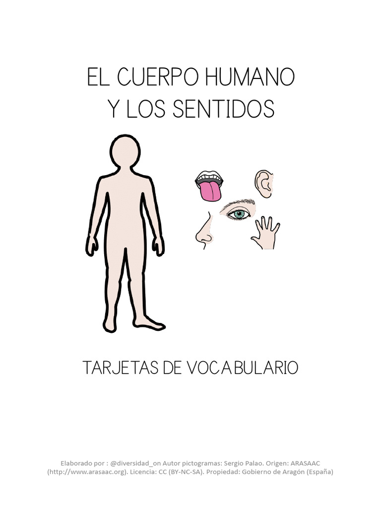 Tarjetas del Cuerpo Humano para Niños | PDF | Esqueleto | Mano