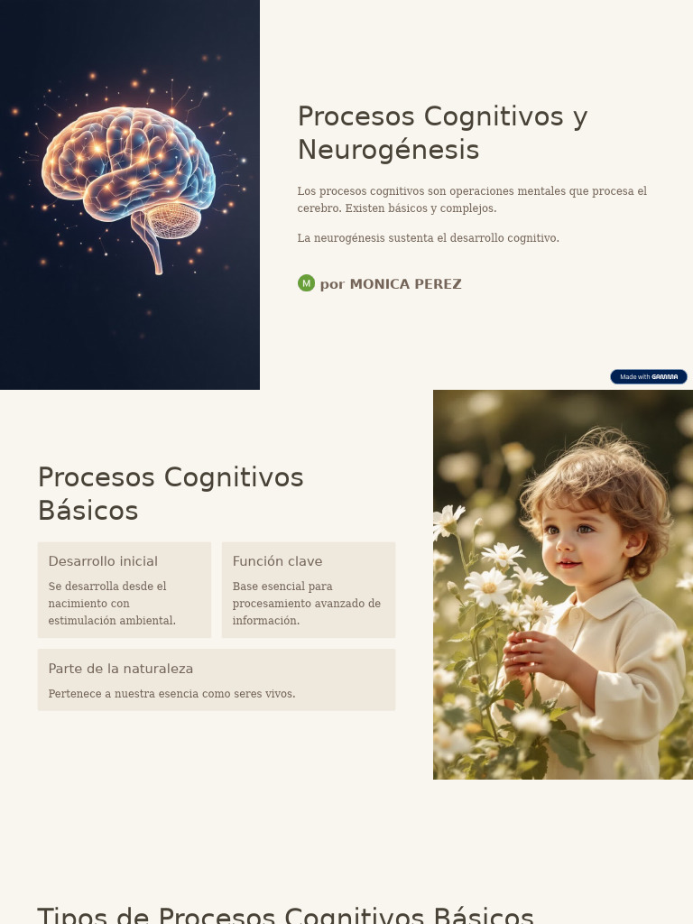 Procesos Cognitivos y Neurogenesis | PDF | Cognición | Mente