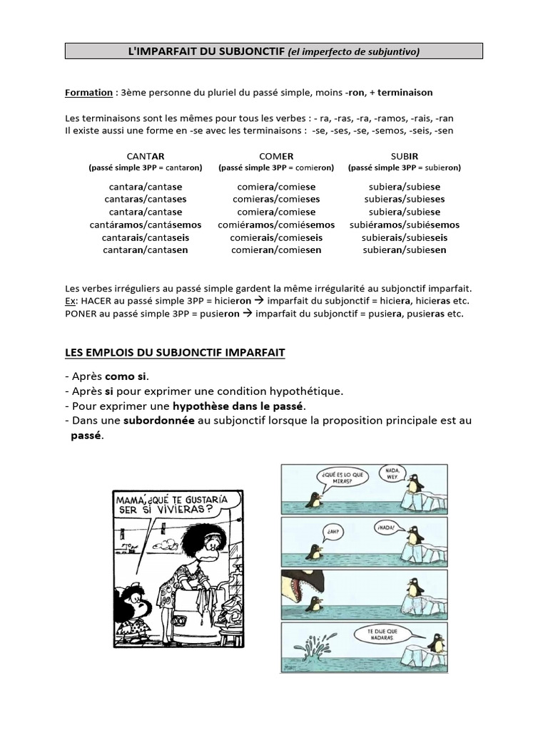 L'Imparfait Du Subjonctif: Formation: 3ème Personne Du Pluriel Du Passé ...