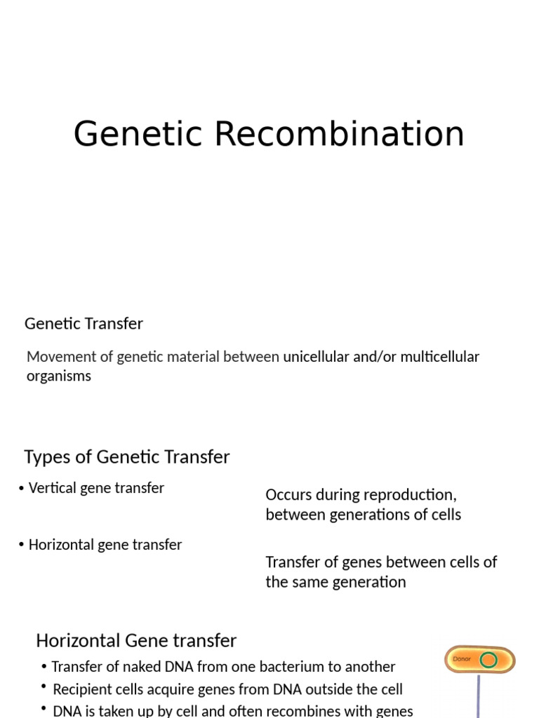 Bacterial Genetics Pdf Bacteriophage Microbiology