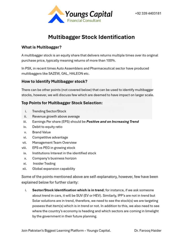 Multibagger by Young Capital - DR Farooq | PDF | Stocks | Financial ...