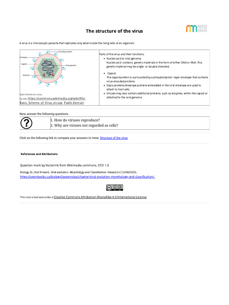 Virus Structure and Function Explained | PDF