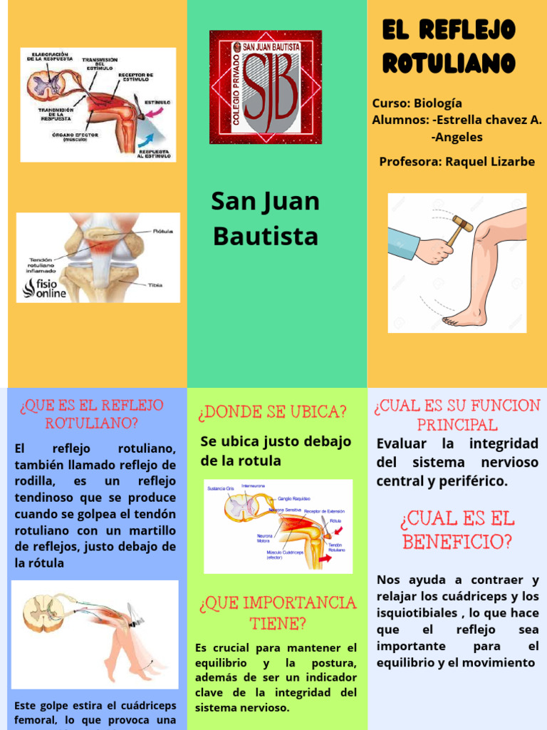 Triptico Salud Mental Creativo Ilustrado Colorido | PDF