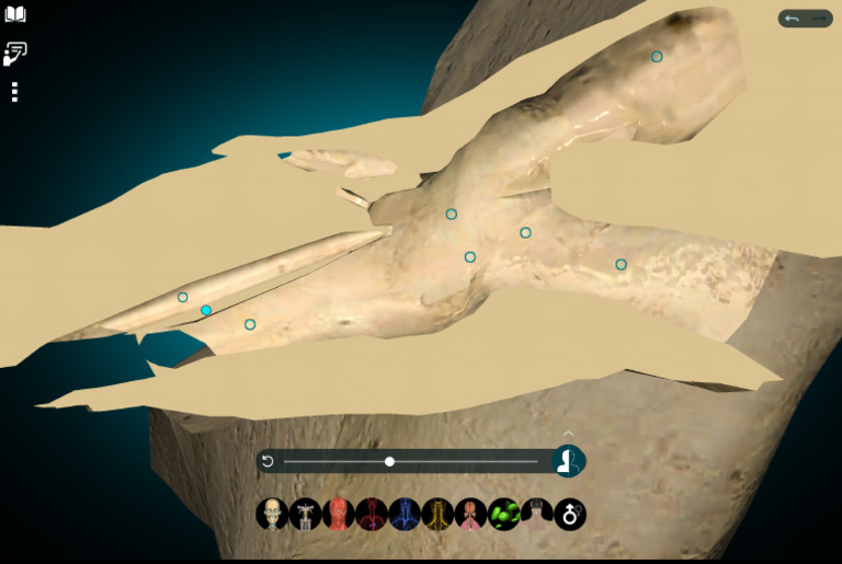 WebGL Player 5 | PDF