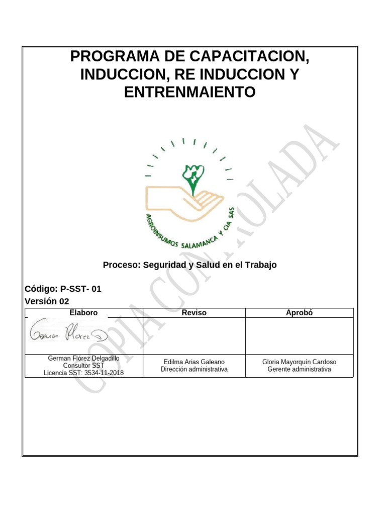 P-SST-01 Capacitacion y entrenamiento | PDF | Creación de capacidad ...