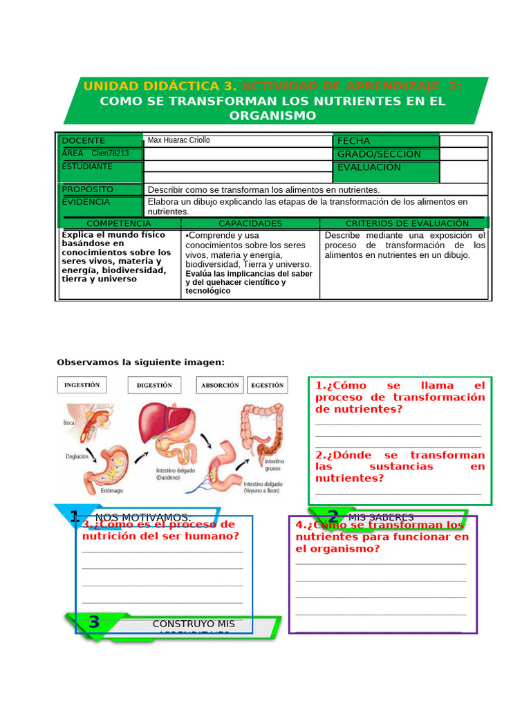 4º Actividad 2 Cyt U3 | PDF | Digestión | Biología